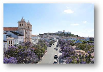 Estremoz é das melhores cidades para visitar no distrito